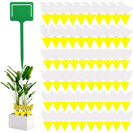 UNCLEOO 64 pcs Yellow Fruit Fly Sticky Traps for Plants Trap Indoor and ...