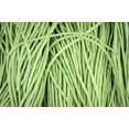100 Seeds Lady Cowpea, Southern Pea, White Lady Finger Bean Vegetable ...