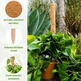 Envelor Coco Moss Poles Plant Support Stakes Coco Plant Stake Pothos ...