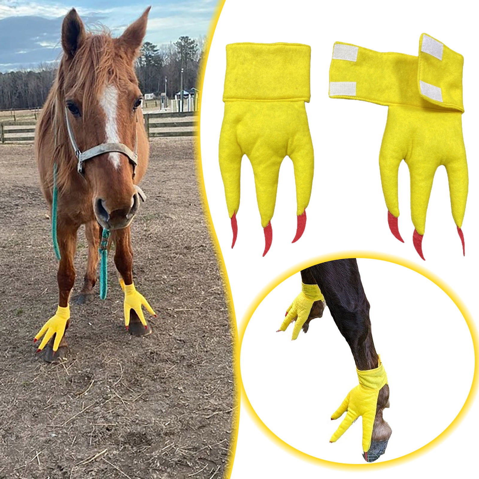 Divertidos calcetines con patas de pollo y caballos, decoración única ...