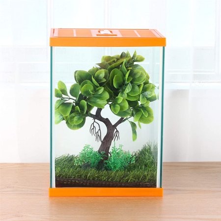 Reptile Tank, Insect GlassTerrarium Tall Box, Color Orange,for ...