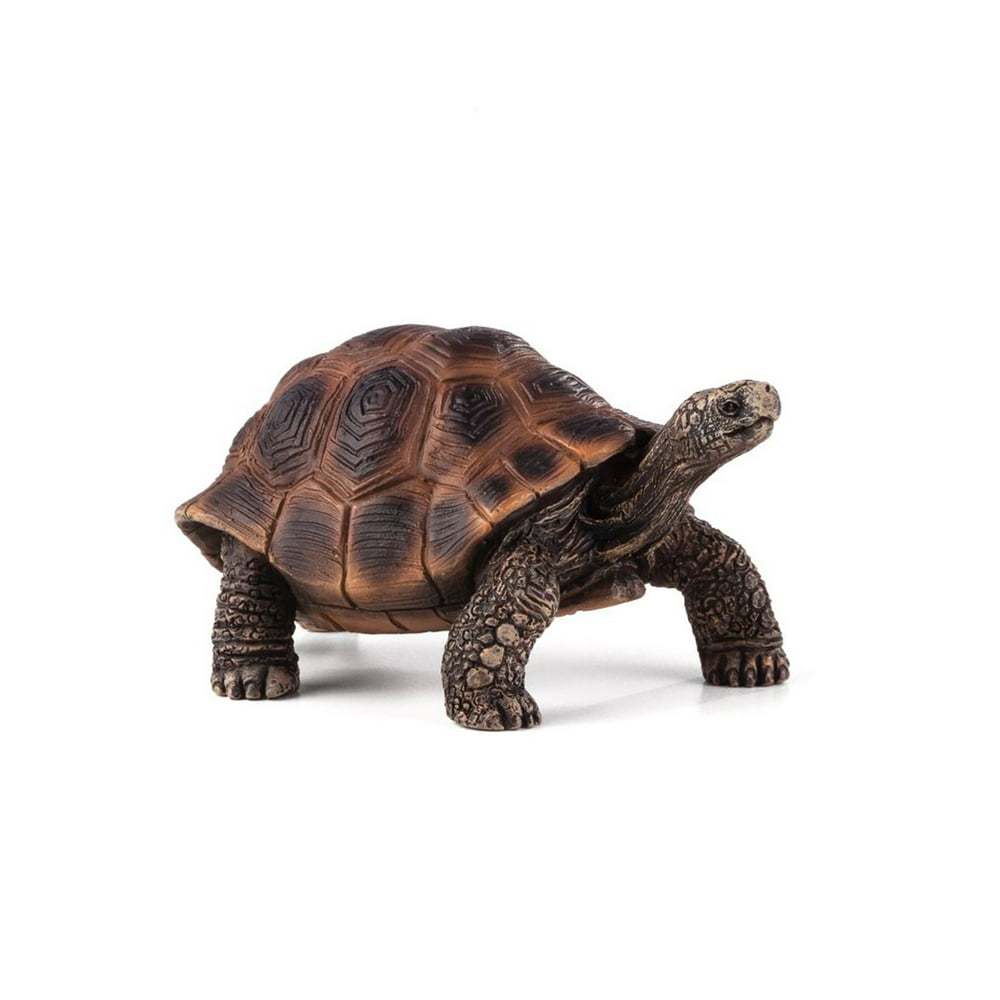 MOJO - Realistic International Wildlife Figurine, Giant Turtle ...