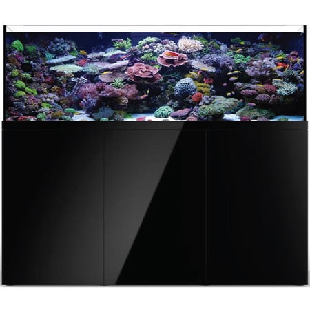 6 ft. 230 gal Prostar Rimless Aquarium, Black | Walmart Canada