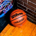Wilson Evolution NCAA Official Game Basketball - Composite Leather ...