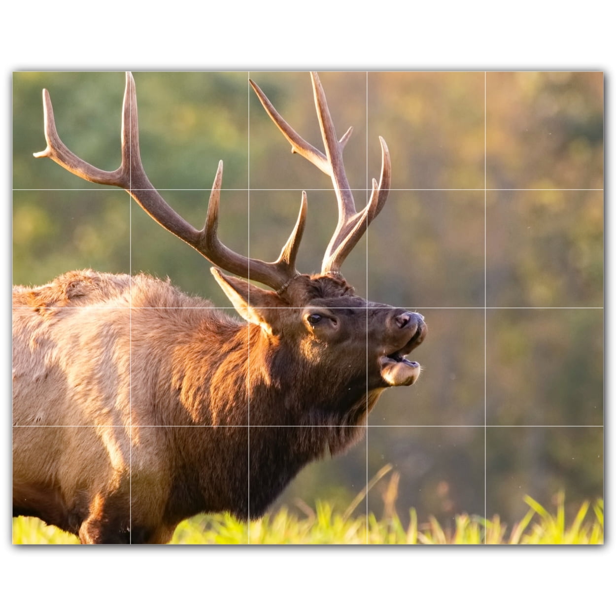Picture-Tiles.com: Deer Ceramic Tile Wall Mural WAL500440-54XL. 60"W x ...