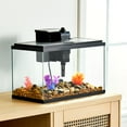 Free Shipping! Aqua Culture Fish Tank 5 Gallon Glass Aquarium Starter ...