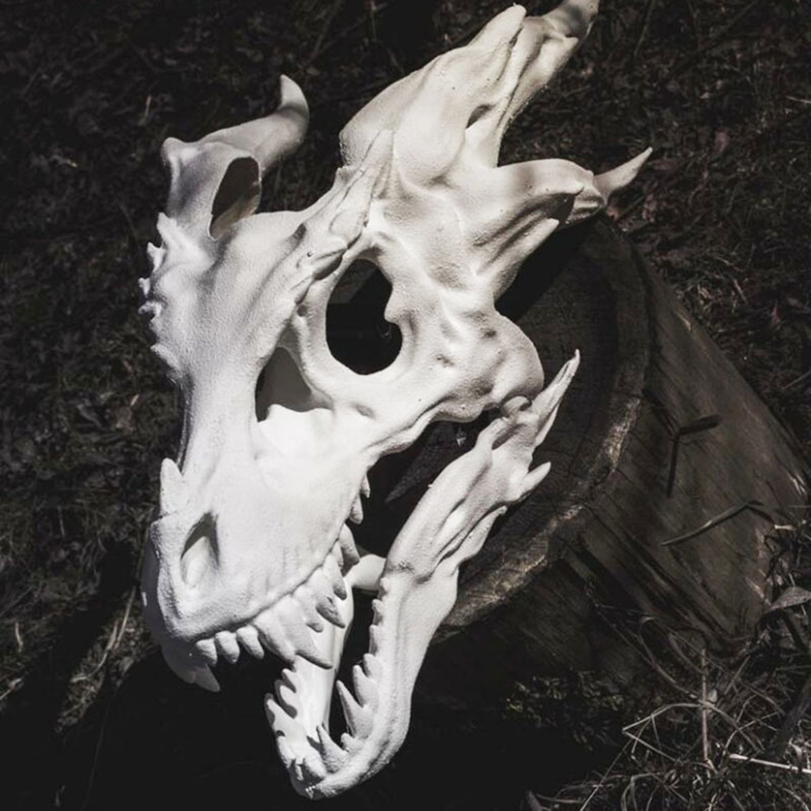 GWONG Headgear Toy Realistic Delicate Resin Movable Dragon Jaw Puppet ...
