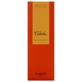 Hermes Caleche Perfume - Eau de Toilette Fragrance Spray for Women, 3.3 ...