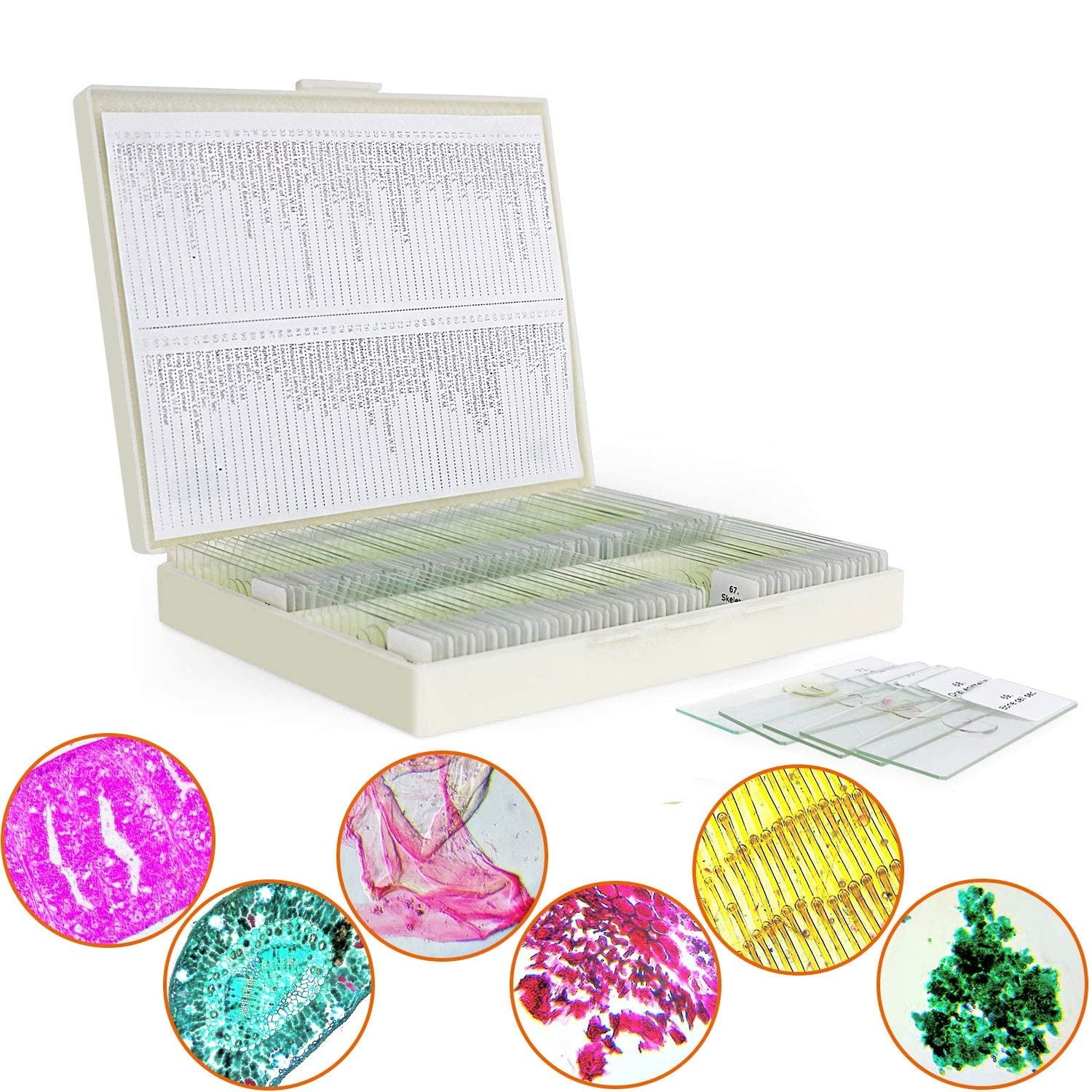 Portaobjetos para microscopio MAXLAPTER 100 muestras preparadas para ...