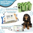 New Puppy Starter Kit - Walmart.com