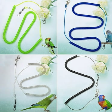 20 Feet Parrot Bird Anti-bite Flying Training Rope Leash Harness in the ...
