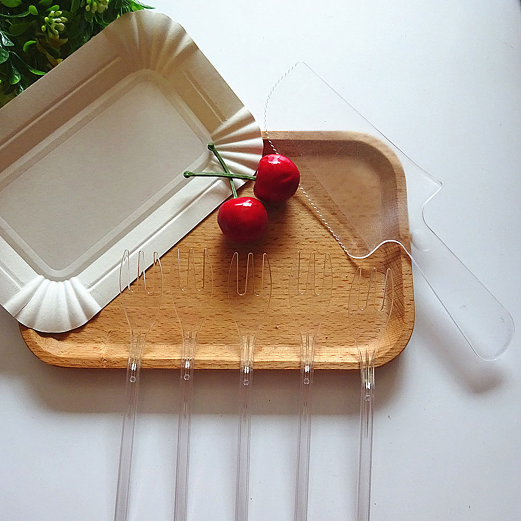 Set of 20 Paper Small Rectangle Plate Plastic Disposable Clear ...