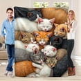 Extra Large Plush Cat Print Blanket Suitable for Bed, Couch & Outdoor ...
