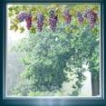 114x37cm Large Grapes Vine Window Clings Green Leaves Window Decals ...