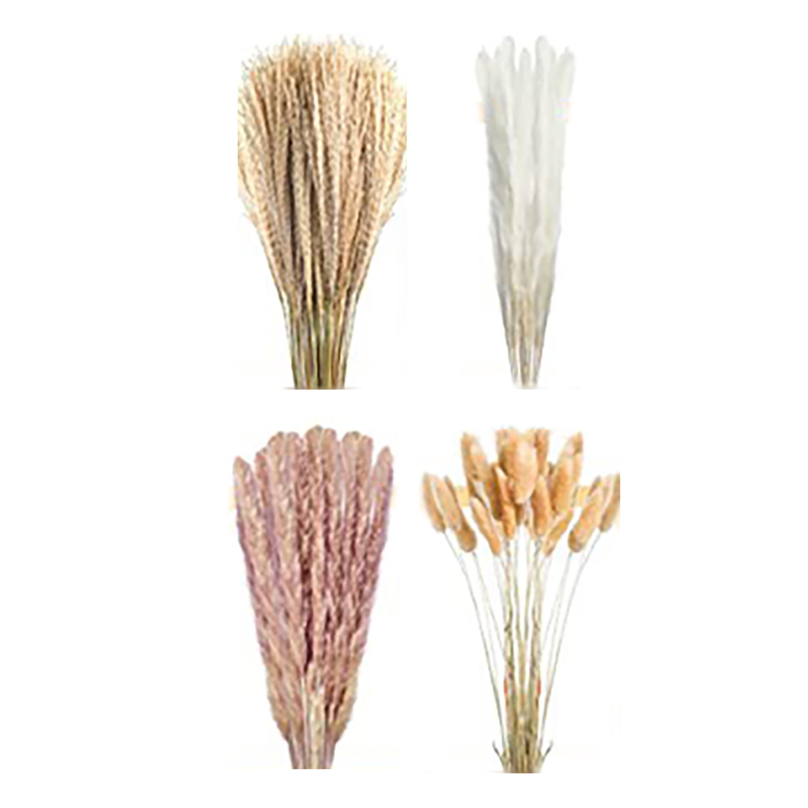 DISHAN Natural Dried Reed Grass Bouquet - 1 Bunch, No Watering, Non ...