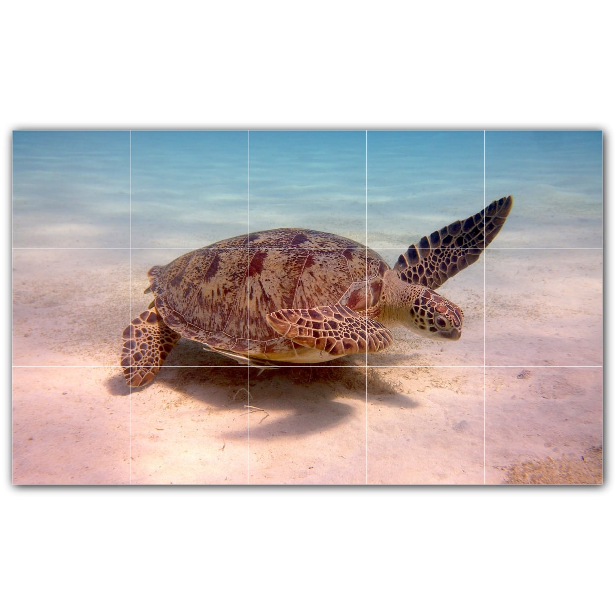 Picture-Tiles.com: Turtle Ceramic Tile Wall Mural WAL501054-53XL. 60"W ...