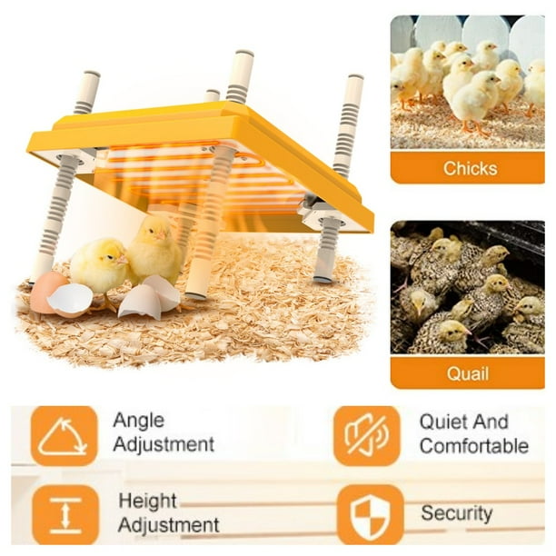 Chick Brooder Heating Plate 10" x 10" Chicken Brooder Heater with ...