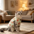 Watermelon Print Cat Recovery Suit for Post Surgery, Soft Breathable ...