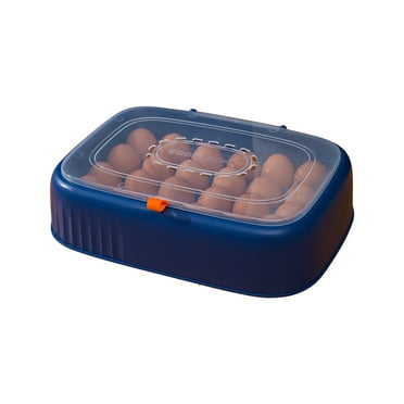 Coleman Company 12 Count Egg Container, Red - Walmart.com