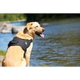 Dogit Harness with Fluorescent Print Logo, Large, Black - Walmart.com