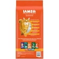 Iams Proactive Health Salmon Flavor Dry Cat Food For Adult Cats, 7 Lb ...
