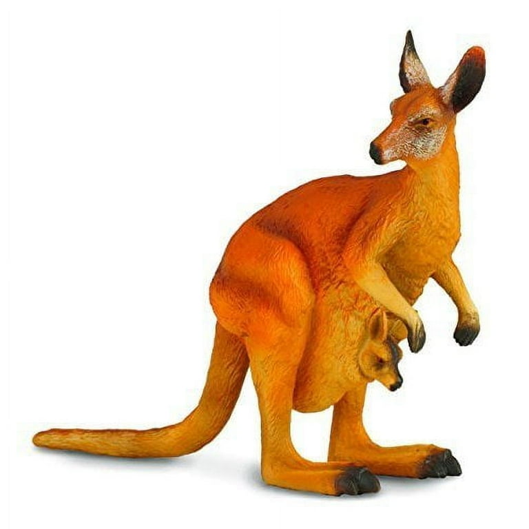 Miniature Kangaroo