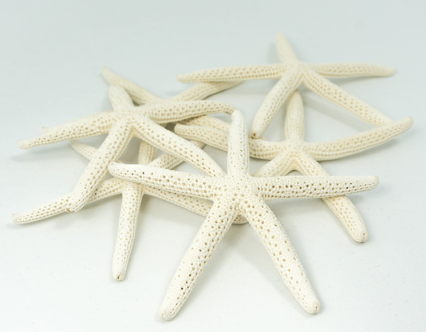 Starfish | 6 White Finger Starfish 3"-4" | Home Decor Art & Crafts ...