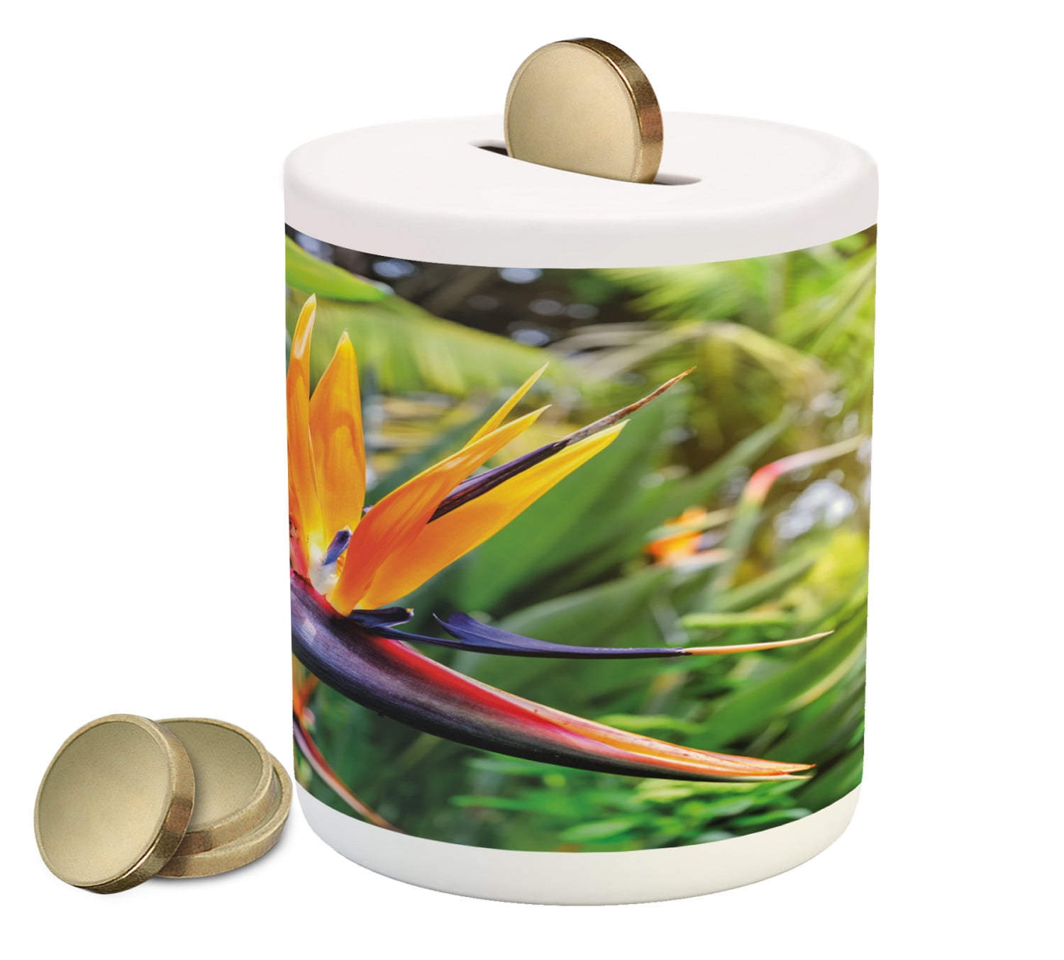 Plant Piggy Bank, Close-up Image of Strelitzia Reginae Bird of Paradise ...
