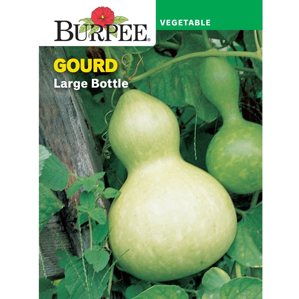Burpee Large Bottle Gourd Vegetable Seed, 1-Pack - Walmart.com