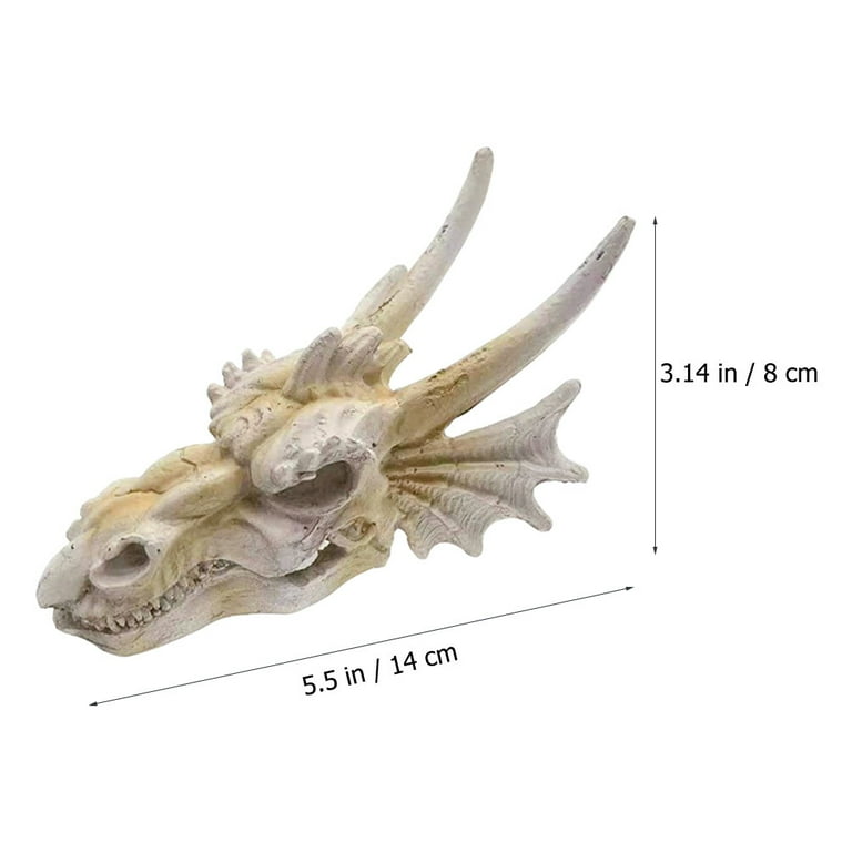 Dragon Fish At Walmart