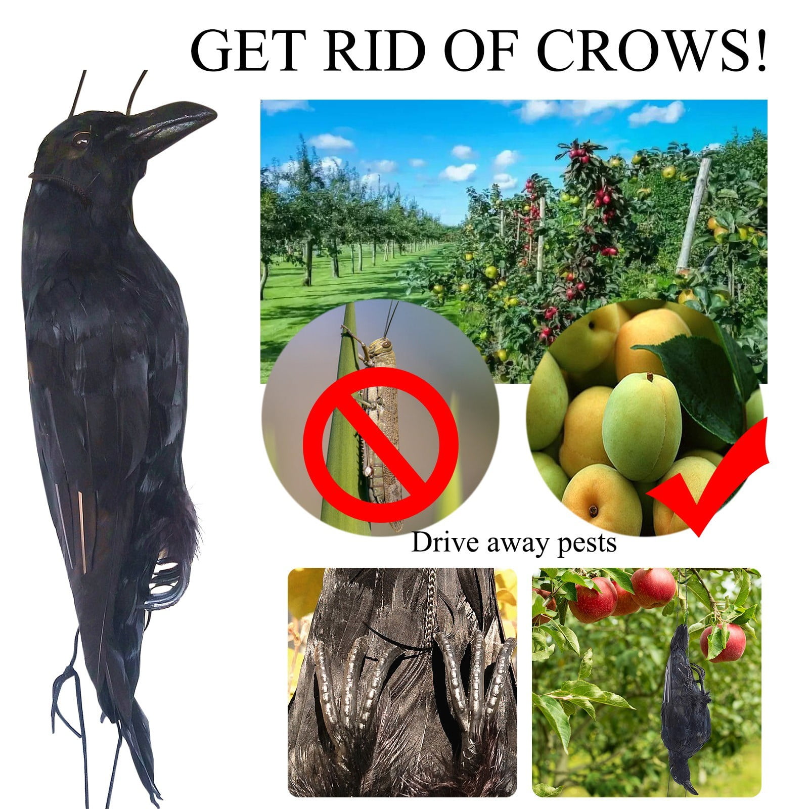 Click here for Cancerius Realistic Hanging Dead Crow Lifesize Ext... prices