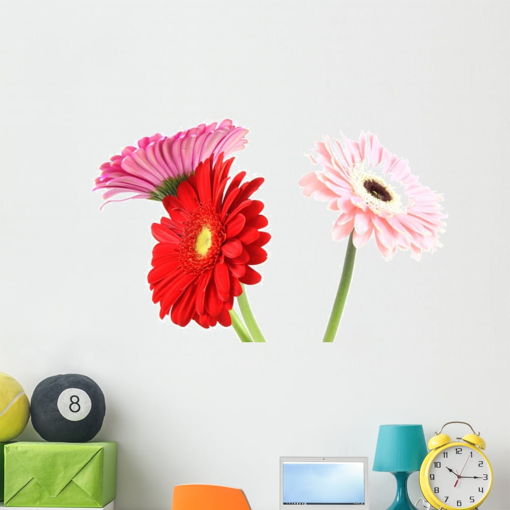 Gerbera Daisy White Wall Mural Decal Sticker, Wallmonkeys Peel & Stick ...
