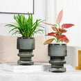 Ikohbadg Transparent Hydroponic Plastic Flower Pots, Perfect for Plant ...