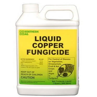 RL Flo-Master 2 Gallon Sprayer - Walmart.com