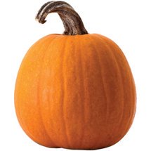 Carving Pumpkin, each (approx. 14-18 lb) - Walmart.com - Walmart.com