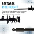2PCS Front Struts Complete Assembly Suspension Strut and Coil Spring ...