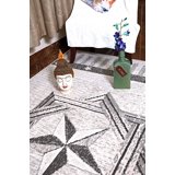 Ambient Rugs Texas Star Rug - 2 ft. x 4 ft., Peach Rustic, Novelty Lone ...