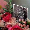 3drose, Great Gray Owl on an Aspen Tree - Us24 Bfr0108 - Bernard Friel ...
