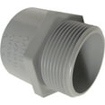 Cantex 5140106C 1.25 in. PVC Male Terminal Adapter - Walmart.com
