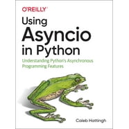 Python for the Busy Java Developer: The Language, Syntax, and Ecosystem (Paperback) - Walmart.com