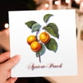 3drose, Apricot-peach, Botanical Print of Bright Yellow Fruits on a ...