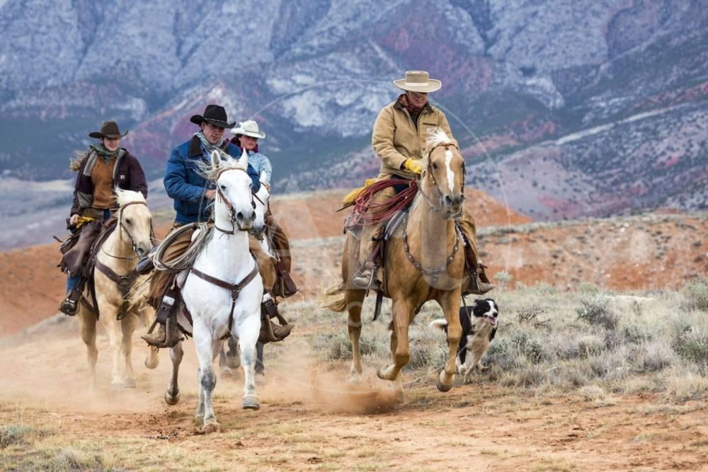 Cowgirl Cowboy at Full Gallop, Figurative World Culture Unframed ...
