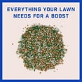 Pennington Lawn Booster Grass Seed and Fertilizer Mix, for Sun to ...
