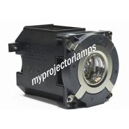 NEC Display NP34LP Replacement Lamp - Walmart.com