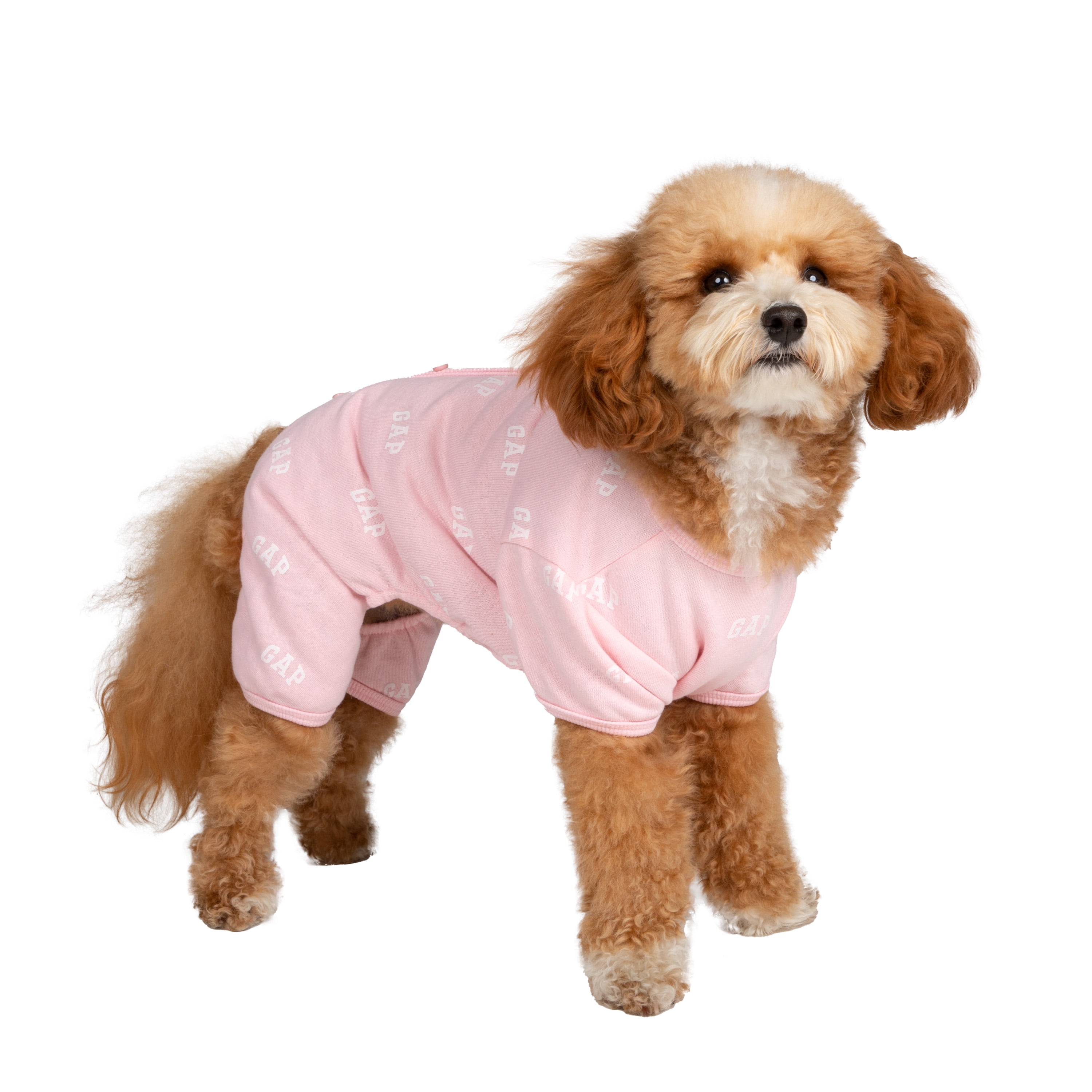 Goldendoodle Clothes