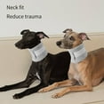 Dog Neck Wrap Prevents Licking Irritation Adjustable Size Recovery ...