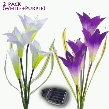 Solar Wholesale 1045 Solaration Cattail Solar Lights, Pack of 4 ...