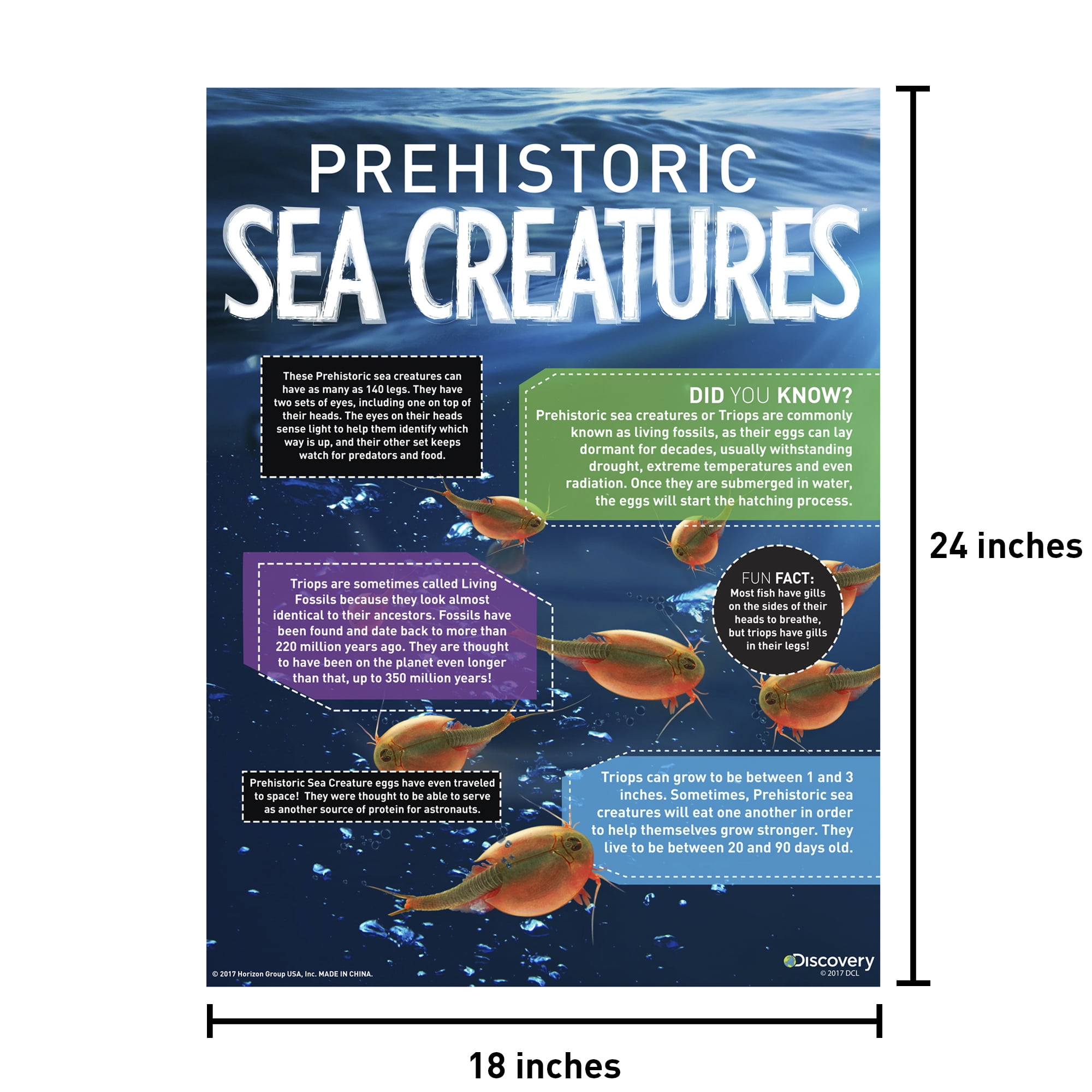 Prehistoric Marine Life Poster