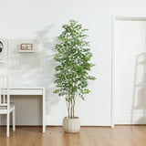 6 ft Tall Large Indoor Faux Moringa Oleifera Tree in Pot, Artificial ...