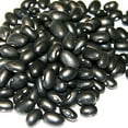 Black Turtle Heirloom Bush Bean - Hardy Plants Grow to 18-24" -Very ...